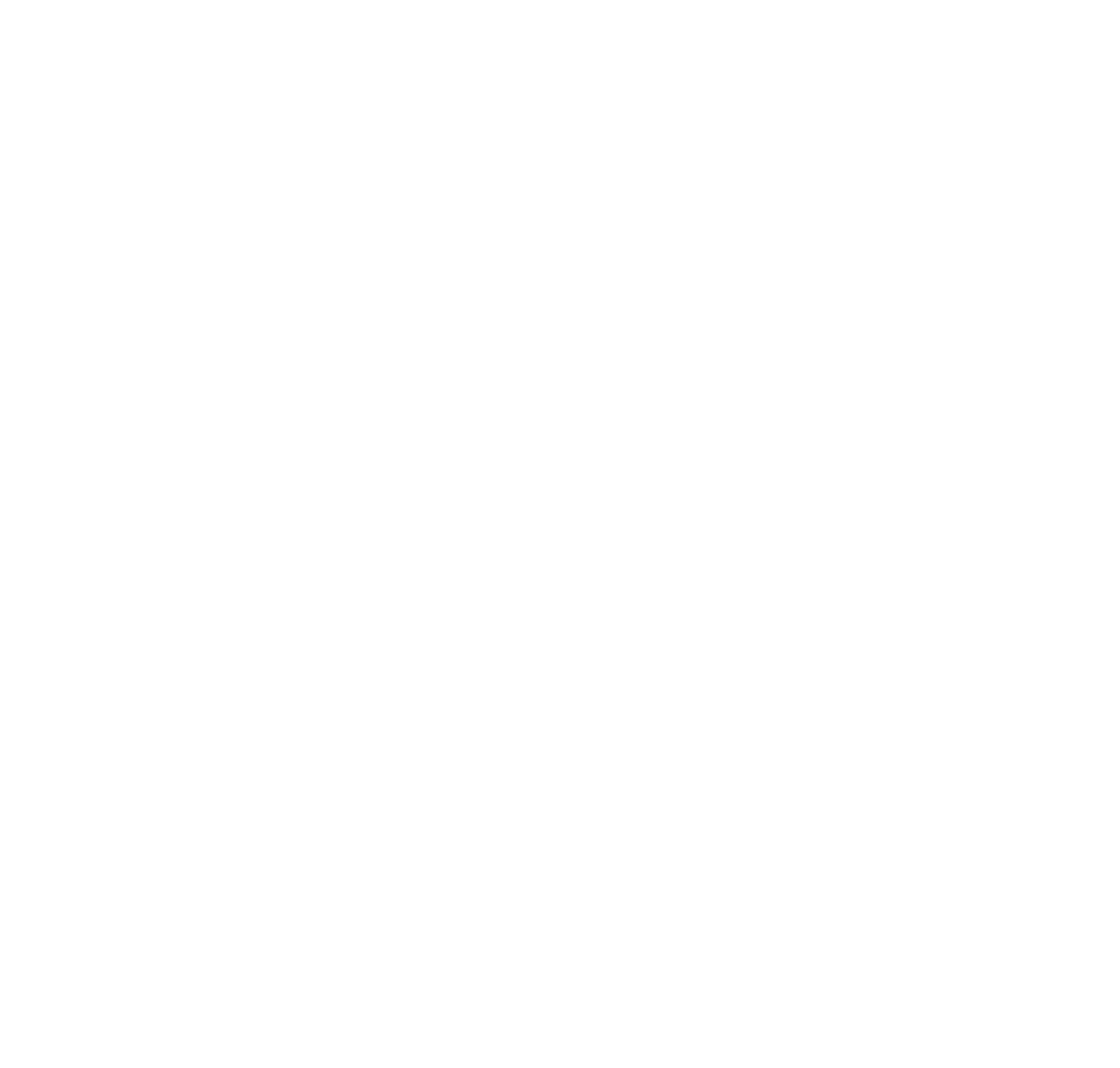 elevation-high-resolution-logo-white-on-transparent-background